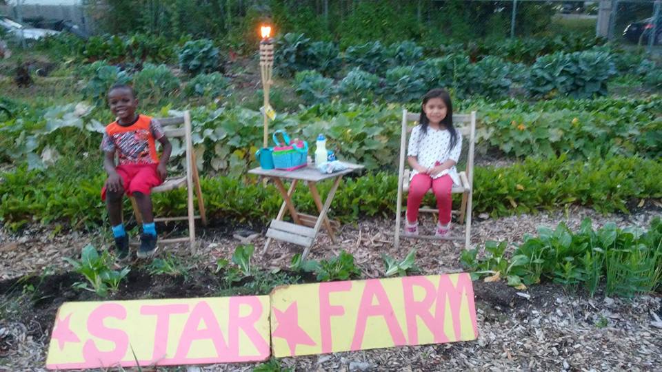 Star Farm Chicago - Urban. Organic. Love