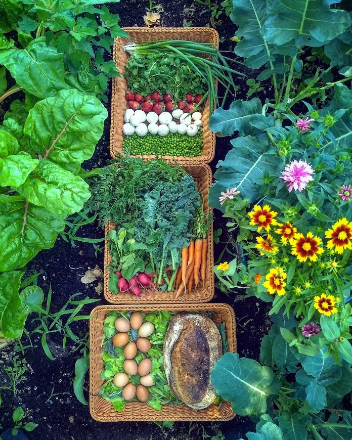 CSA Products – Star Farm Chicago